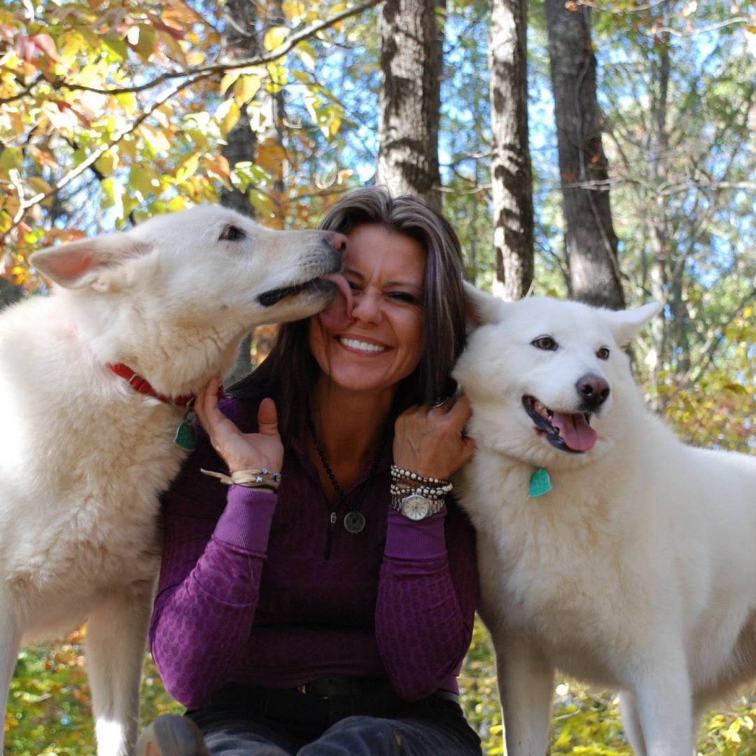 About Angie- Canine Behavior Expert USA, Dog Psychology 101